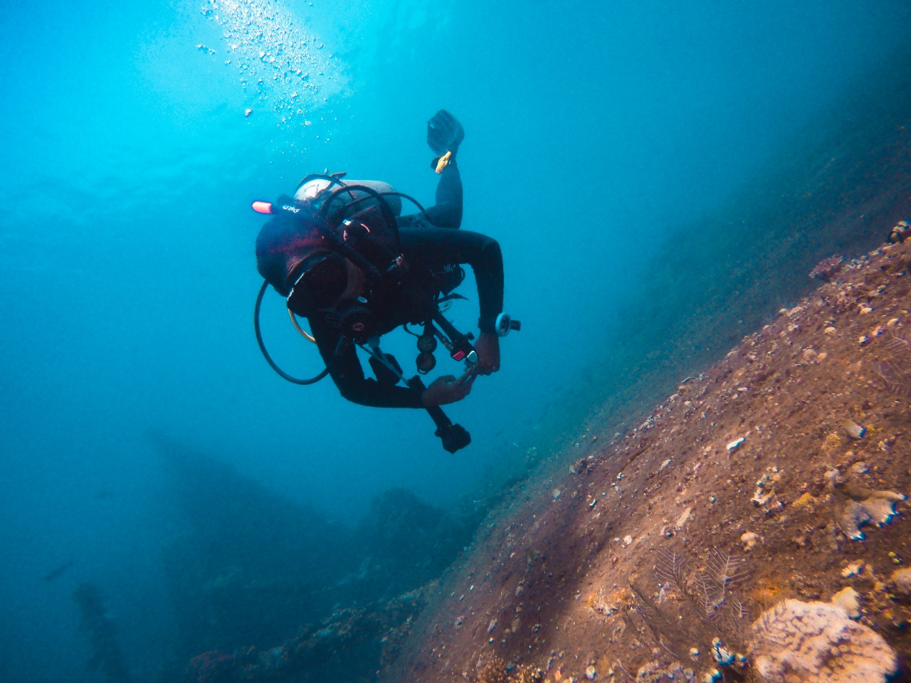 9 Best Dive Sites in Bali in 2024 - Scuba Diving in Bali - Fun Diving ...