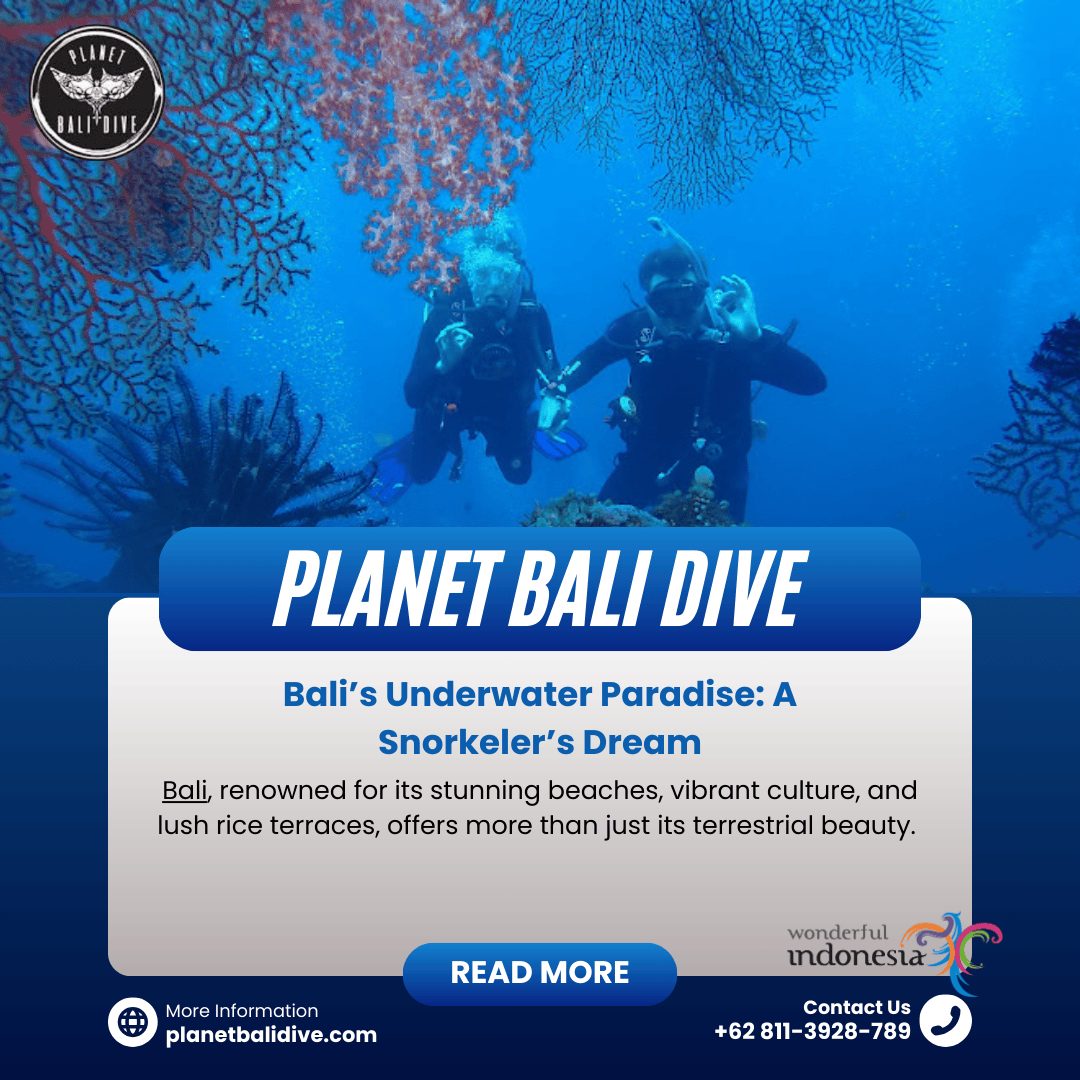 Bali’s Underwater Paradise: A Snorkeler’s Dream
