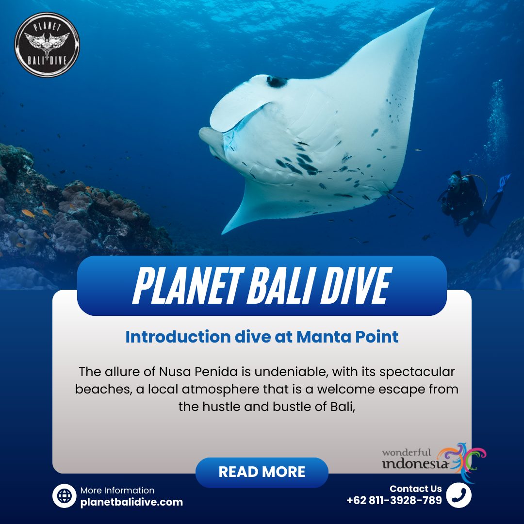 Introduction dive at Manta Point - Planet Bali Dive
