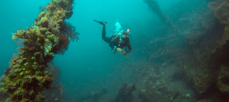 Bali Diving in Sanur: Unleash Your Inner Explorer - Planet Bali Dive